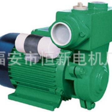 1.1KW自吸泵DBZ自吸泵高扬程自吸泵抽水泵 家用水泵 闽东自吸泵