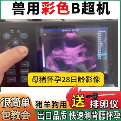高清兽用b超机超声波母猪专用b超测孕无线宠物羊狗猪用高清彩超机
