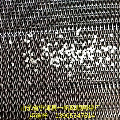 烘干机网带 清洗机输送网链 不锈钢输送链  专业厂家 专心制做