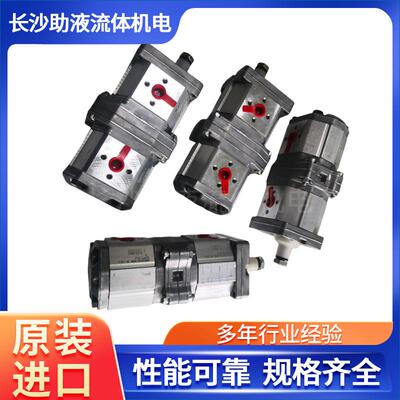 马祖奇Marzocchi液压双联齿轮泵液压站双联泵ALPA1-D-3+ALPP1-D-3