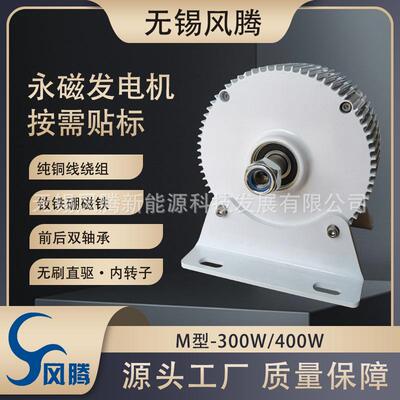 M-300W 12V24V48V 三相交流 稀土永磁发电机 涡轮发电机 可贴标出