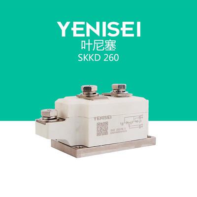 叶尼塞交直流电机控制用配件 SKKD260/16E 直流电源