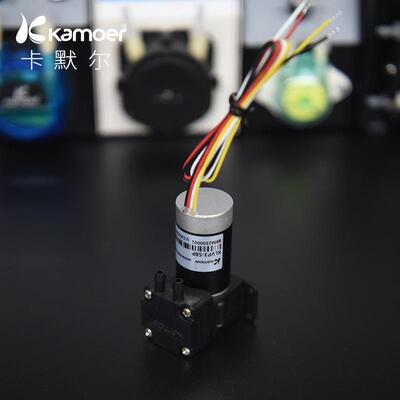 卡默尔微型真震泵1v小空泵小2型无刷压力泵迷你负XIO压泵24v气泵