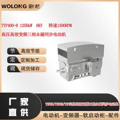 TYP400-81250W6V转速1500RPM高压变频三相永磁同步电动机