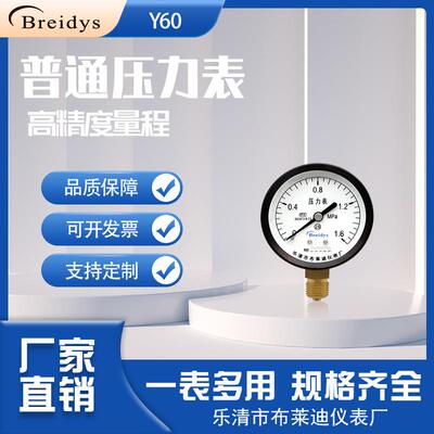 压力表Y60普通型压力表气压水压0-1/1.6/2.5/MPa精度2.5级M14*1.5