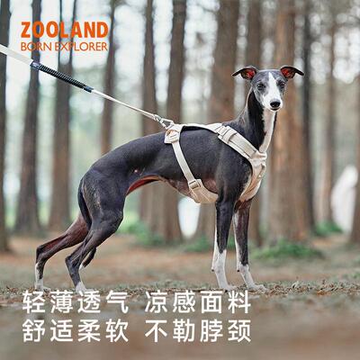 ZOOLAND狗狗胸背牵引绳遛幼小中大型犬泰迪柯基比熊边牧博美链子