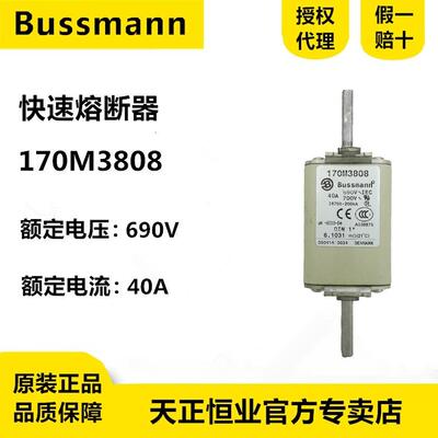 8Bussmann170M系列YBS保险丝快8速熔断器170M308/3814/316/58808/