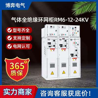 气体全绝缘环网柜RM6-12-24KV开关柜分支箱10KV计量PTV柜户外专用
