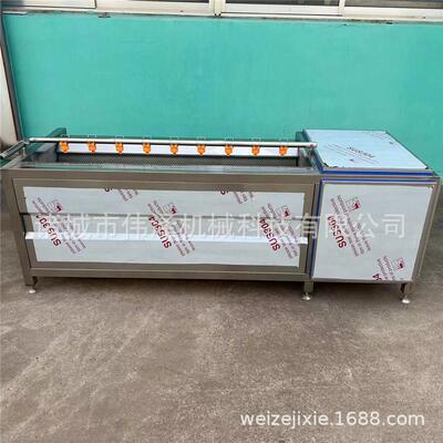 海参毛辊清洗机 鲍鱼清洗设备 蛏子去杂加工设备伟泽厂家只售