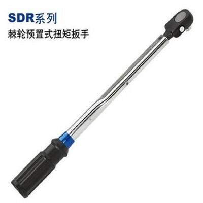 SR世亚CCM系列可换头可调式扭矩扳手公制刻度CCM100N
