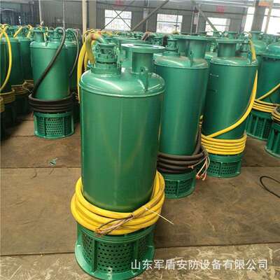 煤矿抽沙隔爆型排污排沙电泵煤安证BQS200-22-30KW防爆潜水1140v