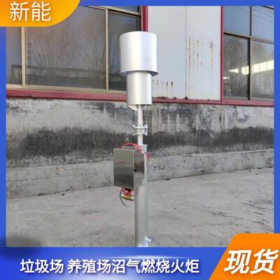 沼气火炬垃圾场沼气燃烧器小型燃烧装置304不锈钢火炬