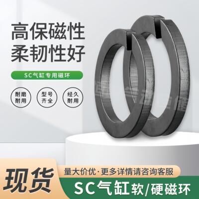 SC/SCJ气缸软磁32 40 50 63 80 100 125 160 200硬磁环条