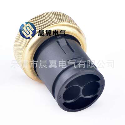 黑色2孔国产连接器防水接插件连接器100283-1