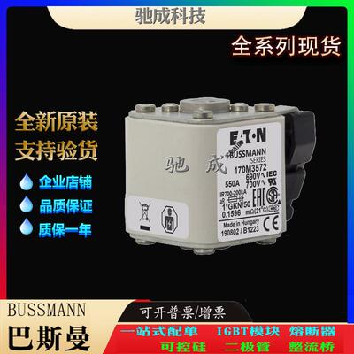 巴斯曼170M3571 170M3572 170M3573 厂价直销优价供应 快速熔断器