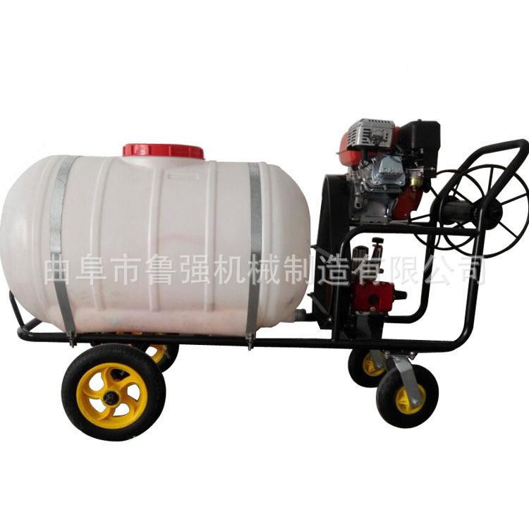 200升手推式电动打药机 养殖场消毒喷雾器 农用汽油打药机