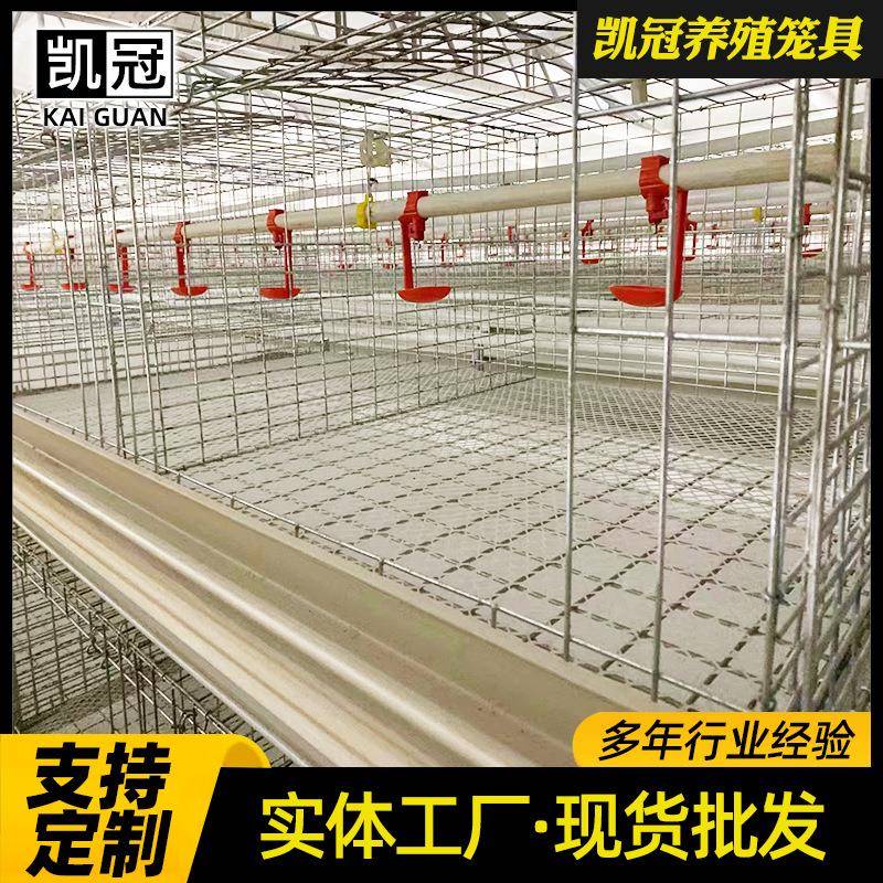 大阶梯蛋鸡笼智能型养鸡设备大棚温室用禽畜笼子多层阶梯式笼养鸡