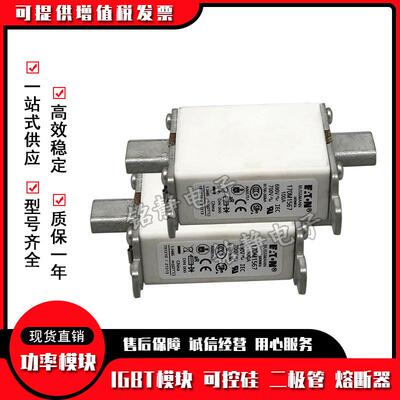 170M1563 170M1564 170M1565 170M1566 170M1567巴斯曼熔断器现货