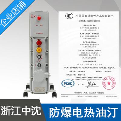 BDN58-3KW防爆电热油汀功率3000W13片电压220V防爆电暖气取暖器