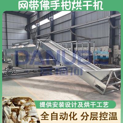 网带佛手烘干机连续式佛手果佛手干佛手片干燥机佛手柑烘干设备
