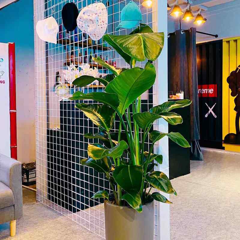 网格大网片喷塑网格子金属铁丝网货架背网配件围栏展示架铁网挂墙