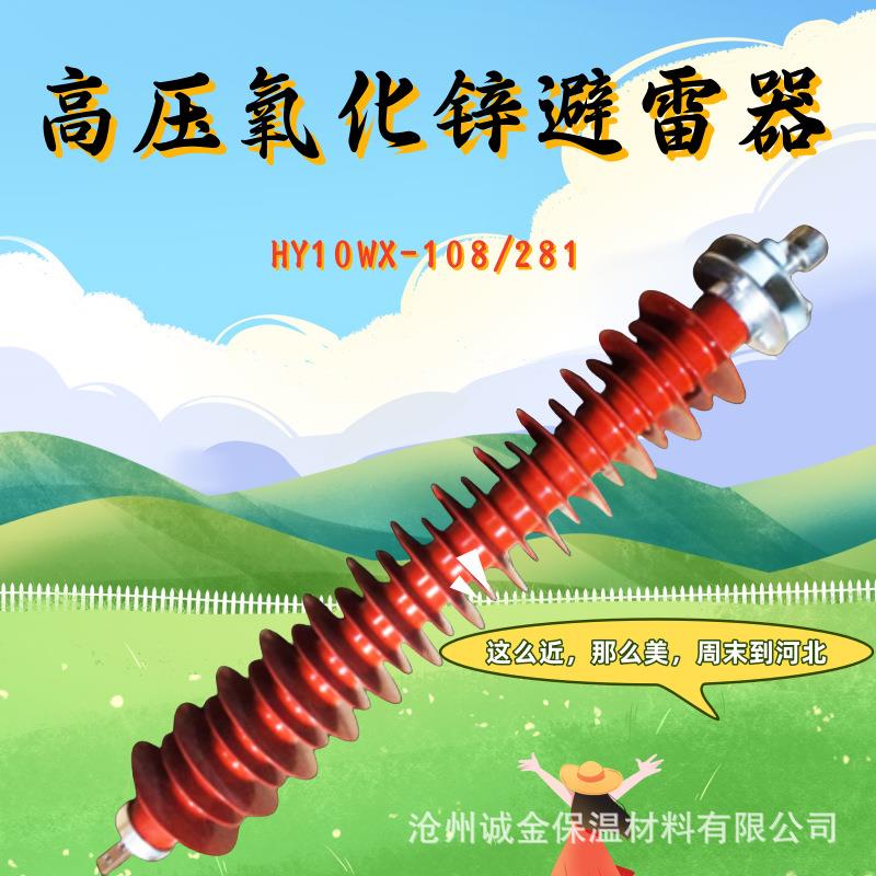 110千伏金属氧化物避雷器 复合外套电站型避雷器 YH10WZ-102/266