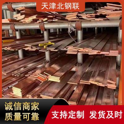 国标T1紫铜排水紫2MSV铜排镀锡铜排打孔T折弯止铜片
