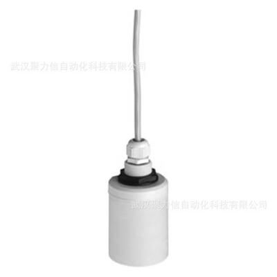 E+H恩德斯豪斯模拟式电极CPS11-2BA2ESA原装