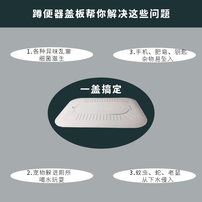 蹲便防滑封板闭式盖板蹲坑器防堵臭器卫生间洗澡厕313所挡一健臭