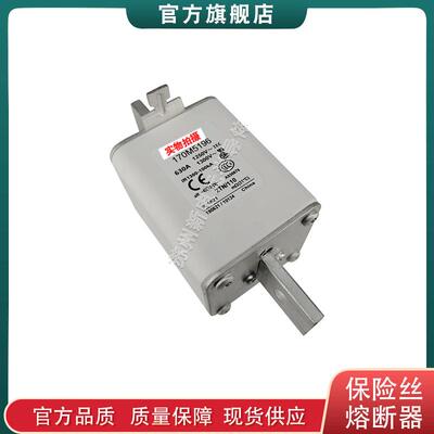 170M5196 170M5197 170M5198 巴斯曼bussmann快速熔断器保险丝