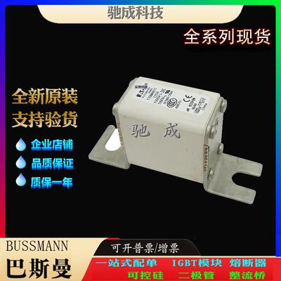 巴斯曼170M4810 170M4811 170M4812 厂家直供量大价优 方体熔断器