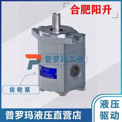 合肥阳升齿轮泵CBT-F410/F412.5-ALP齿轮泵叉车机械工程车辆