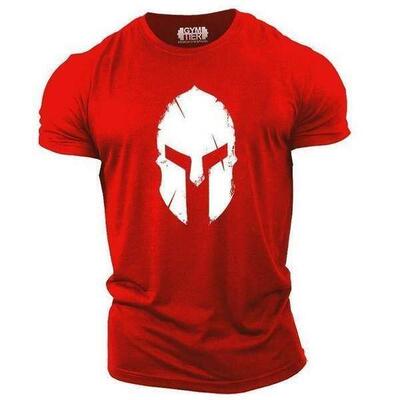 My Hero Spartan T shirt For Men T-shirt D Light 斯巴达T恤