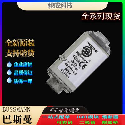 巴斯曼170M2765 170M2766 170M2767 厂家直供直销价优 方体熔断器