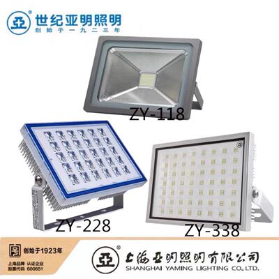 上海世纪亚明ZY118投光灯ZY228泛光灯ZY338照明 灯具50W100W LED