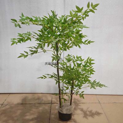 仿真南天仿生竹天竹家居室内房葵间婚庆摄影人造摆植物装饰GGJ件