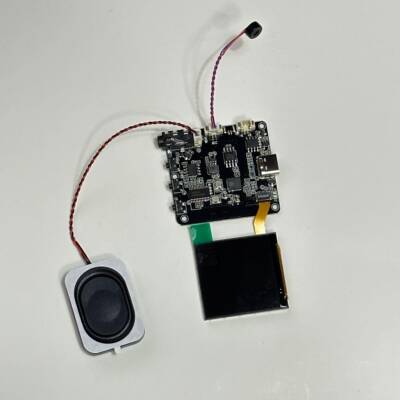 豆包DeepSeek扣子AI大模型语音对话开发板联网WIFI本地部署API