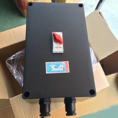 BXS8050防爆防腐断路器FLK 16A BLK8050-32A BF28159-S低压空气式