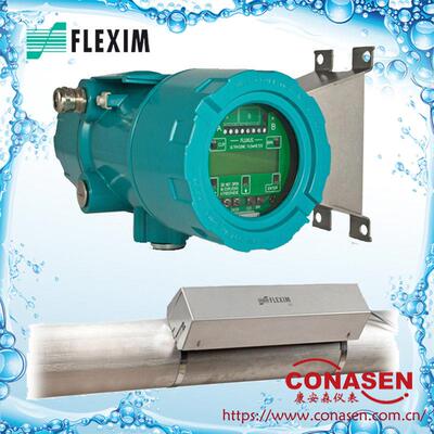FLEXIM（弗莱克森）经济型防爆固定式超声波流量计 F808（升F831)
