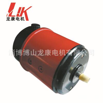 直流电机S系列SZ系列伺服电机他励电机S569110SZ06110SZ08S261