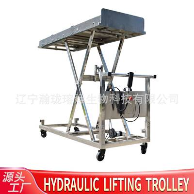 Corpseliftingtrolley殡仪馆冷藏箱配套平板车不锈钢遗体升降车