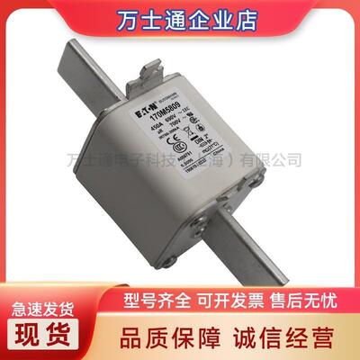 170M5738 170M5739 170M5740 170M5741 170M5742 170M5743熔断器
