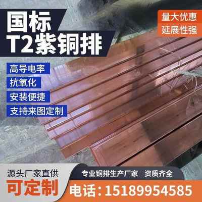 T2国标紫铜排紫铜条块扁方红铜排导电接地铜排板母线排镀锡铜条
