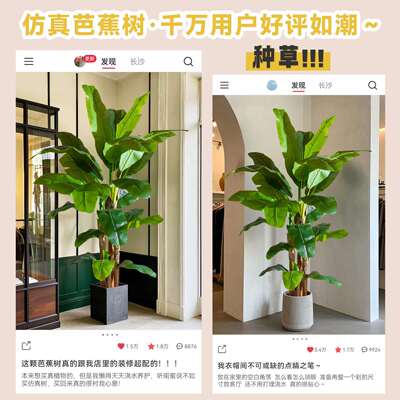 大仿真大假叶ltao6945子芭蕉树装饰仿生绿室植内造景高端植物树摆
