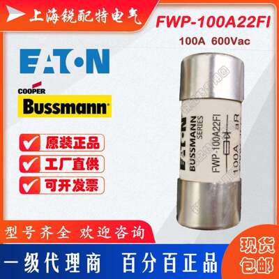 FWP-100A22FI陶瓷管保险丝600V100A22x58巴斯曼BUSSMANN熔断