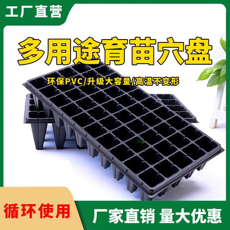 育苗盘穴盘一件起批扦插育苗箱多肉芽菜种植盆营养钵秧蔬菜育苗盒