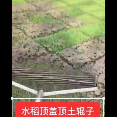 佳木斯发货水稻播种机配件水稻苗床压硬盖土铁丝辊顶土辊子顶盖
