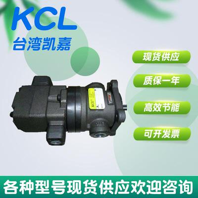 台湾凯嘉KCL HVQ20-8-F-RAA-01 注塑机 压铸机液压泵总成小型