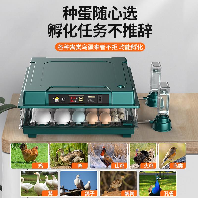 孵蛋器小型家用型孵化机芦丁鸡孵化器全自动小鸡鸡蛋智能孵化箱