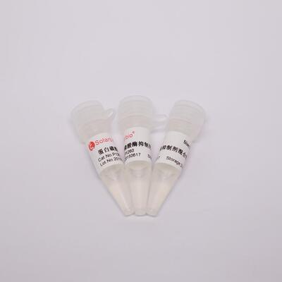 P1260蛋白磷酸酶抑制剂混合物(All-in-one,100x)索莱宝去磷酸化